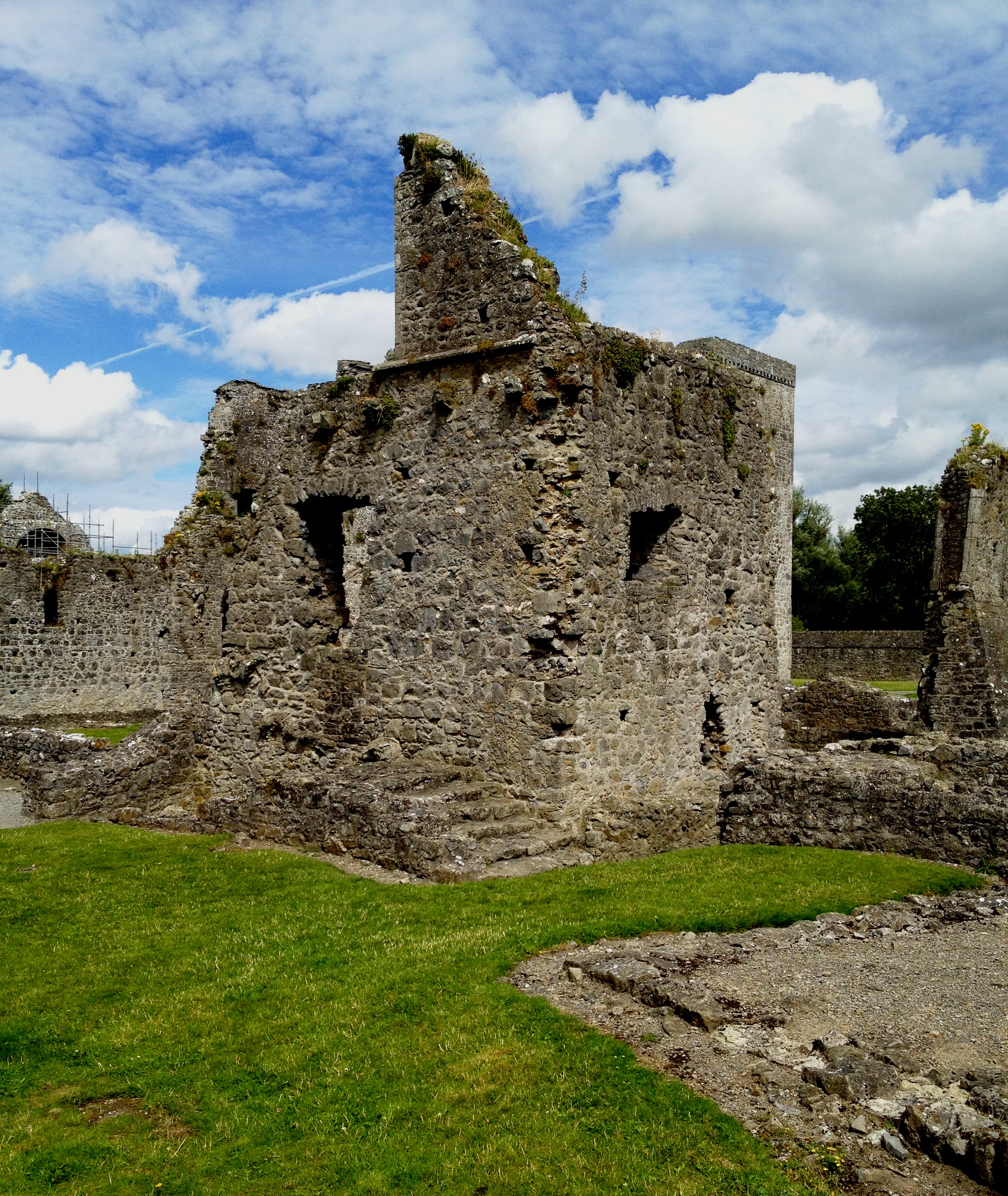 The Secret of Kells « The Irish Aesthete