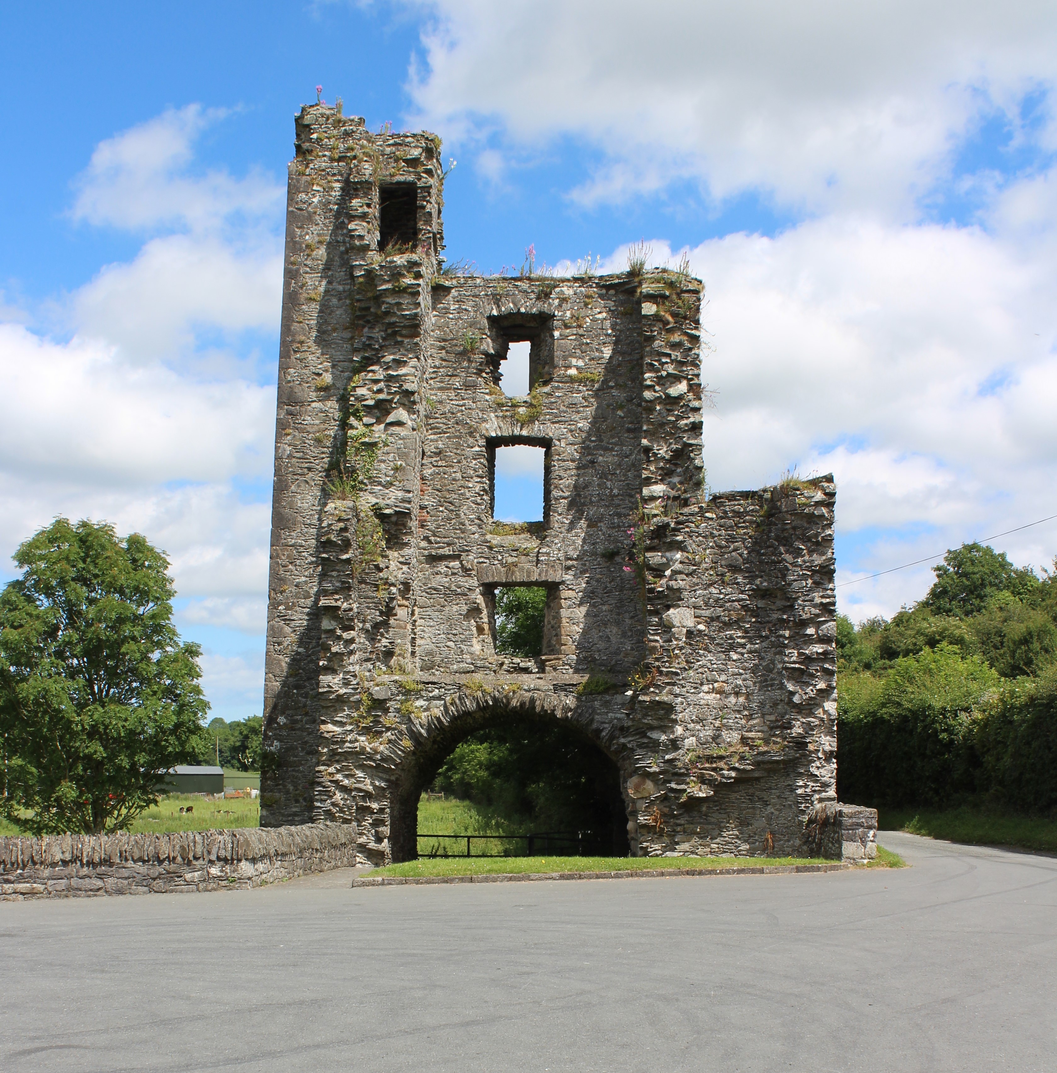 One of the Most Important and Magnificent Monastic Edifices « The Irish ...
